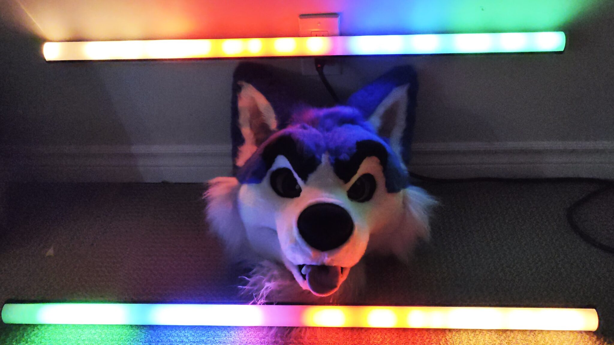 Av.dog – Av's Site